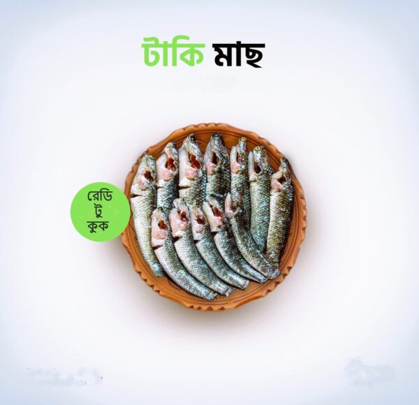 টাকি মাছ - Taki Fish 500gm | Shorobor - Trusted Online Shop in ...